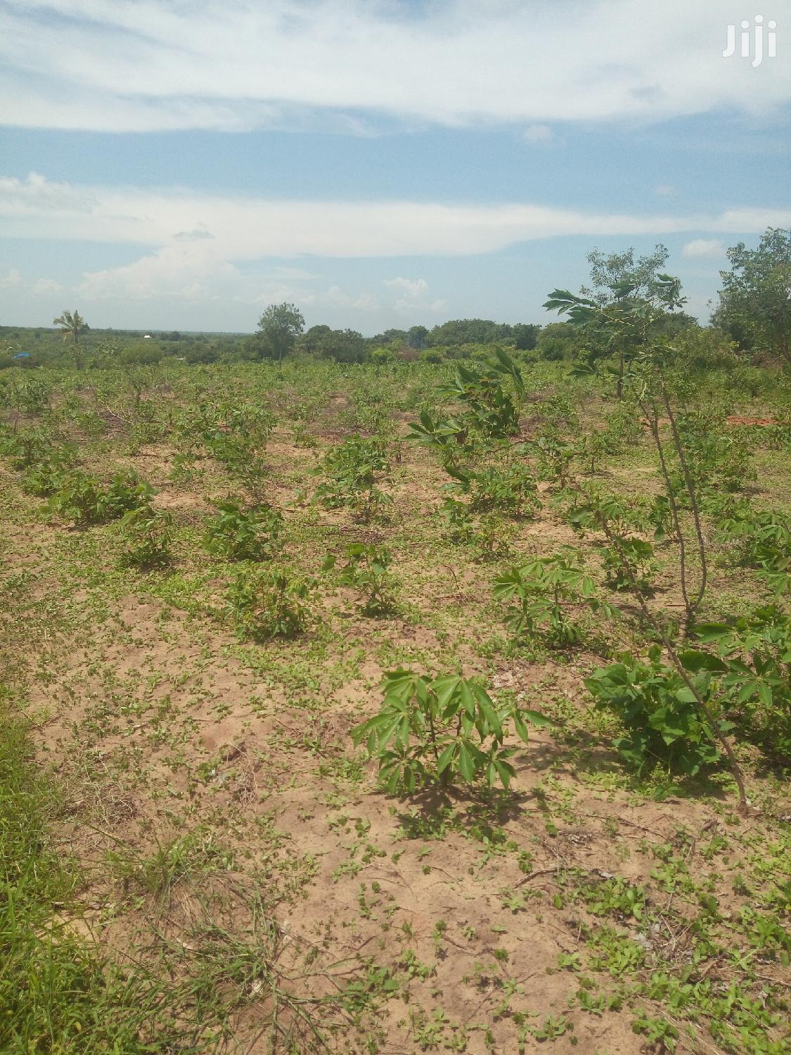 Viwanja Vinauzwa in Kinondoni - Land & Plots For Sale, Joe Mark | Jiji ...